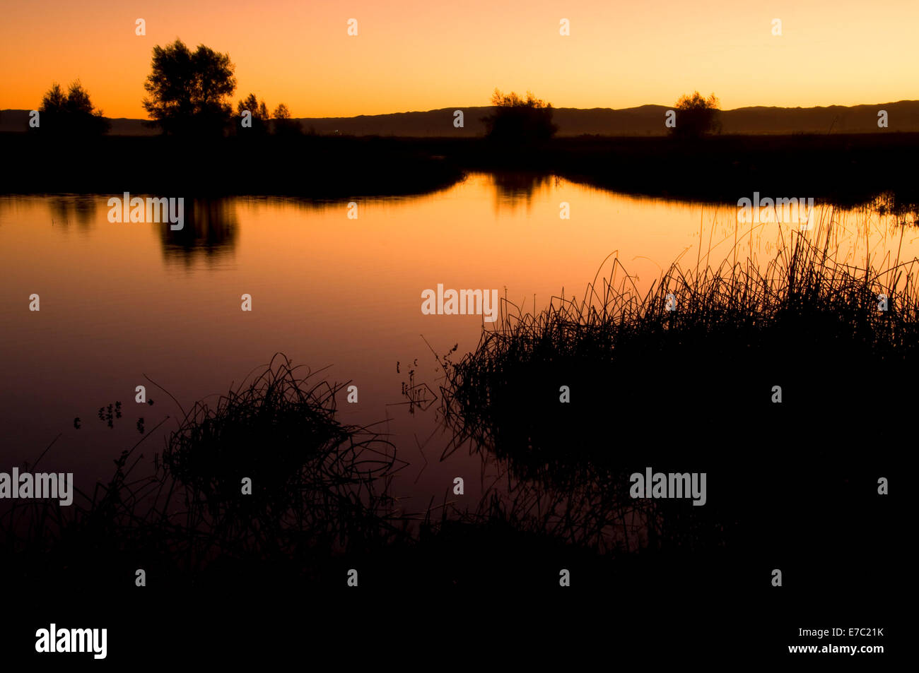 Colusa national wildlife refuge hi-res stock photography and images - Alamy