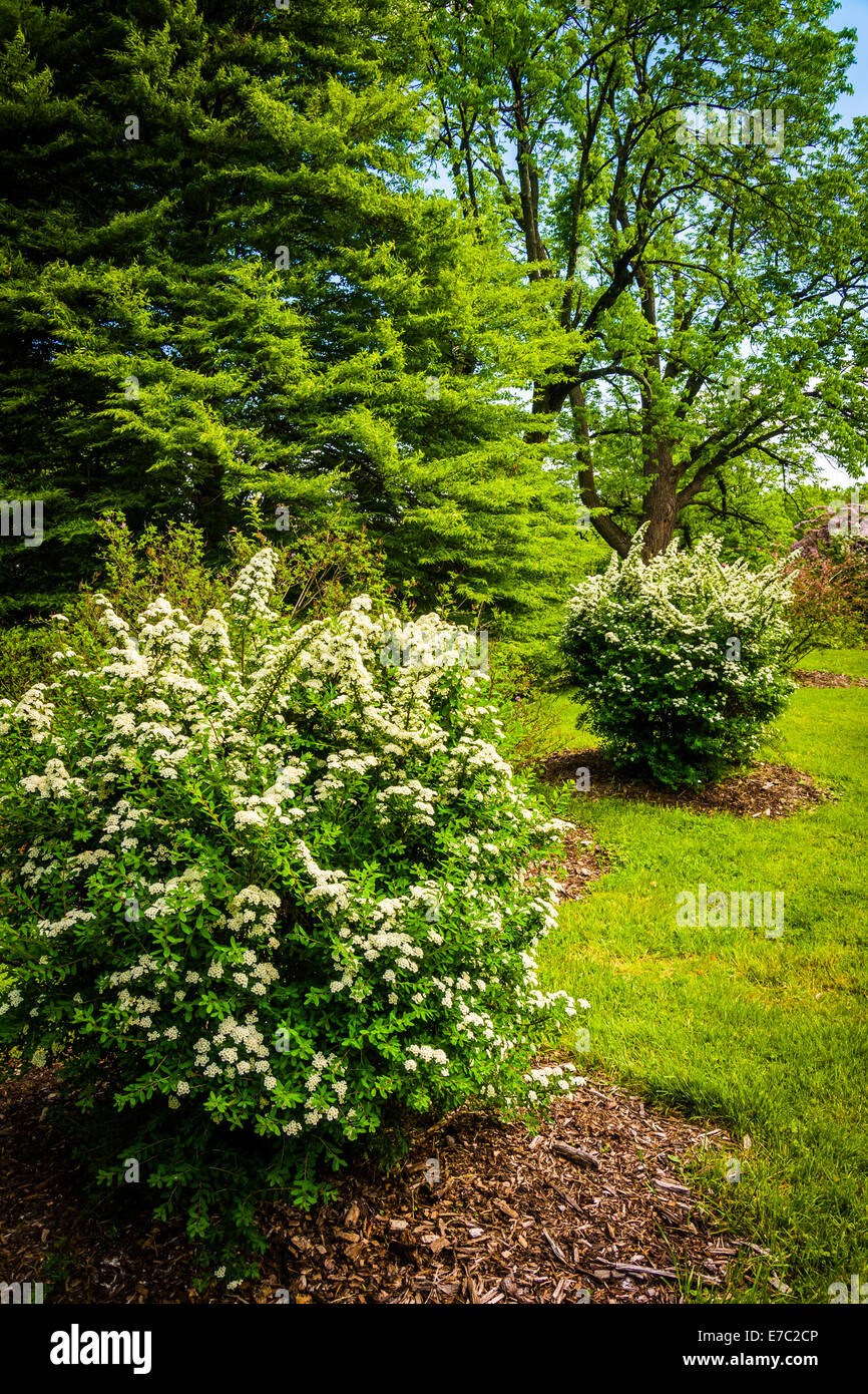 Baltimore Arboretum High Resolution Stock Photography and Images - Alamy