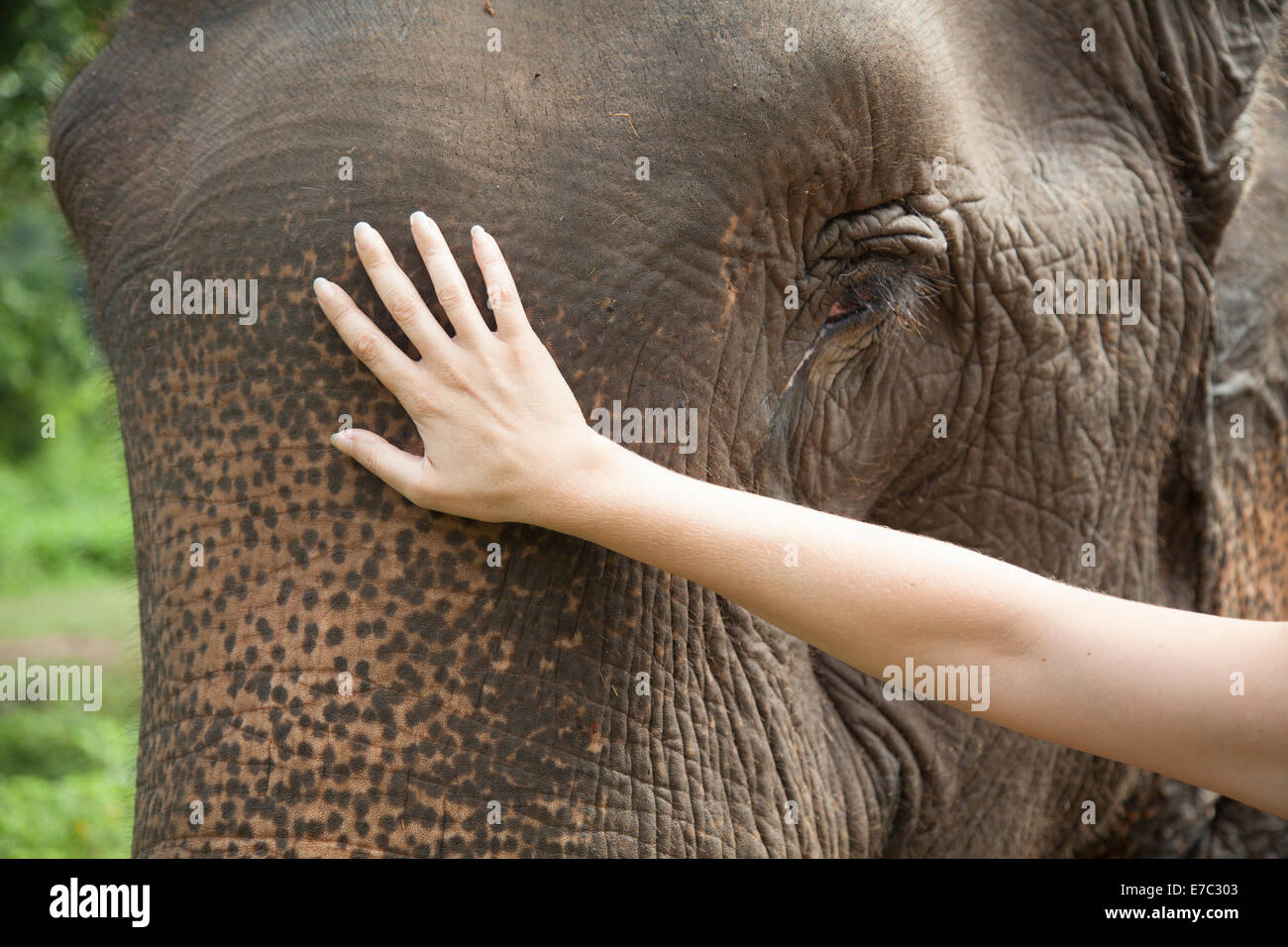 Hardness hi-res stock photography and images - Alamy