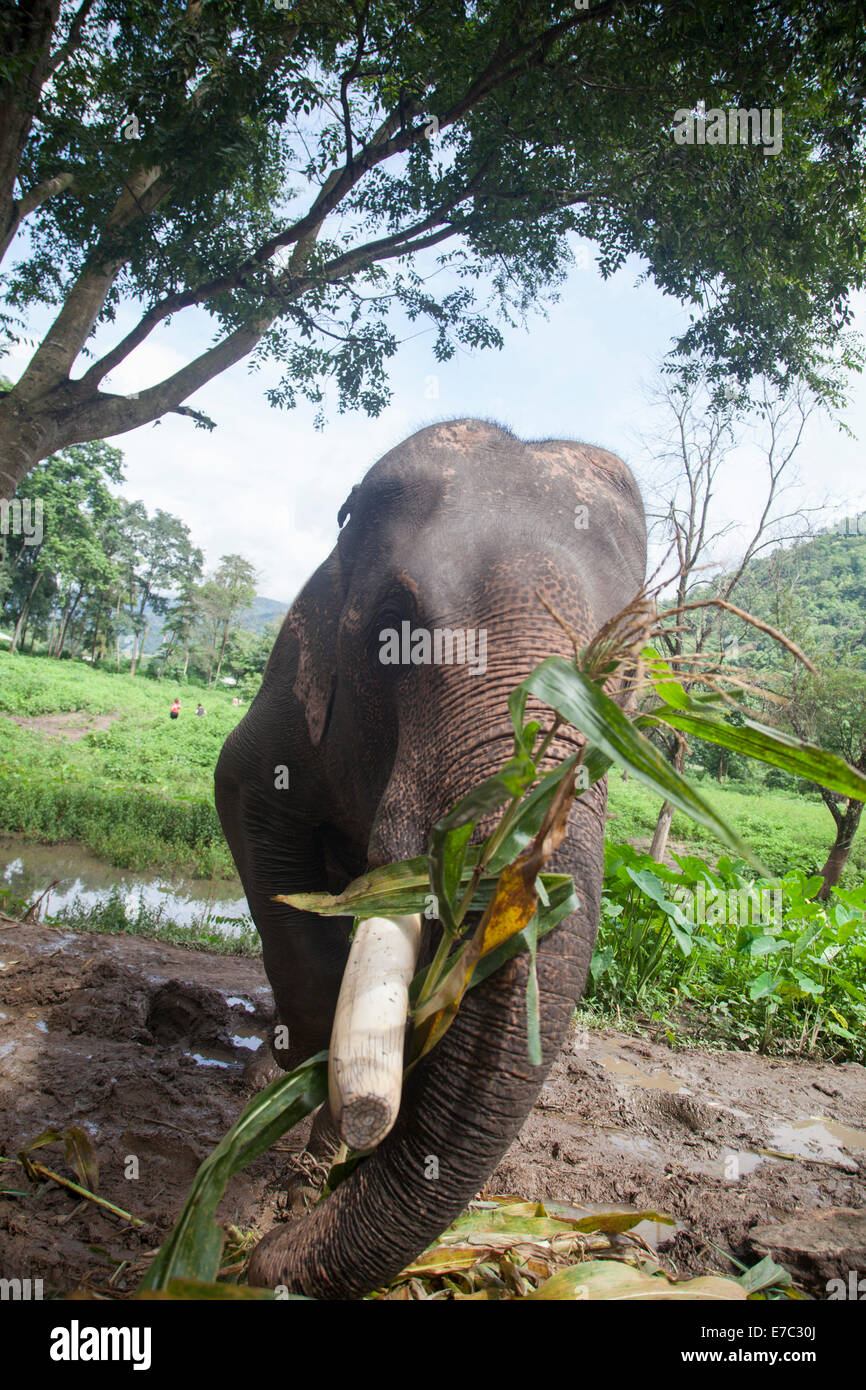 Color p hi-res stock photography and images - Alamy