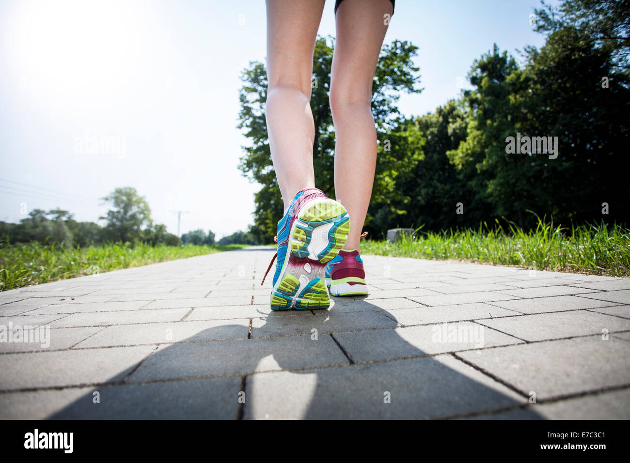 Two pretty girls jogging in the morning Stock Photo - Alamy