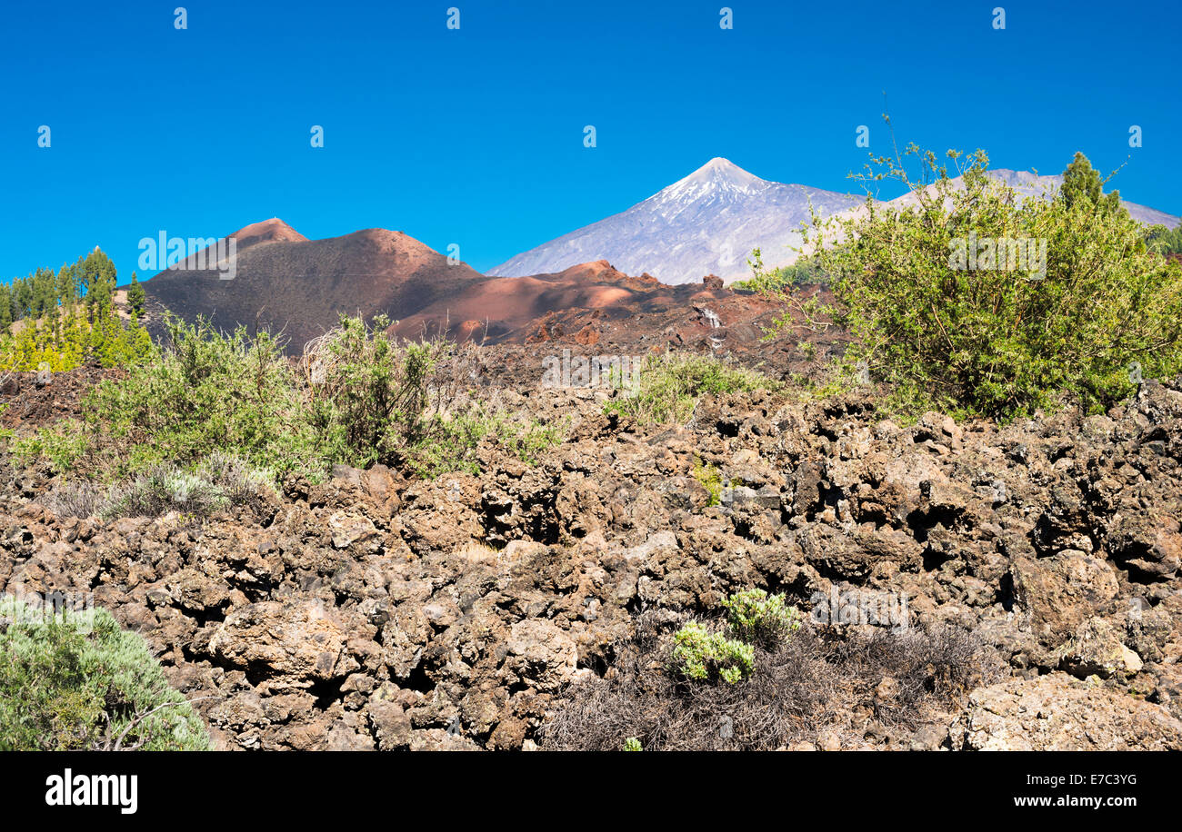 The aa lava flow of the most recent eruption on Tenerife in 1909 from ...