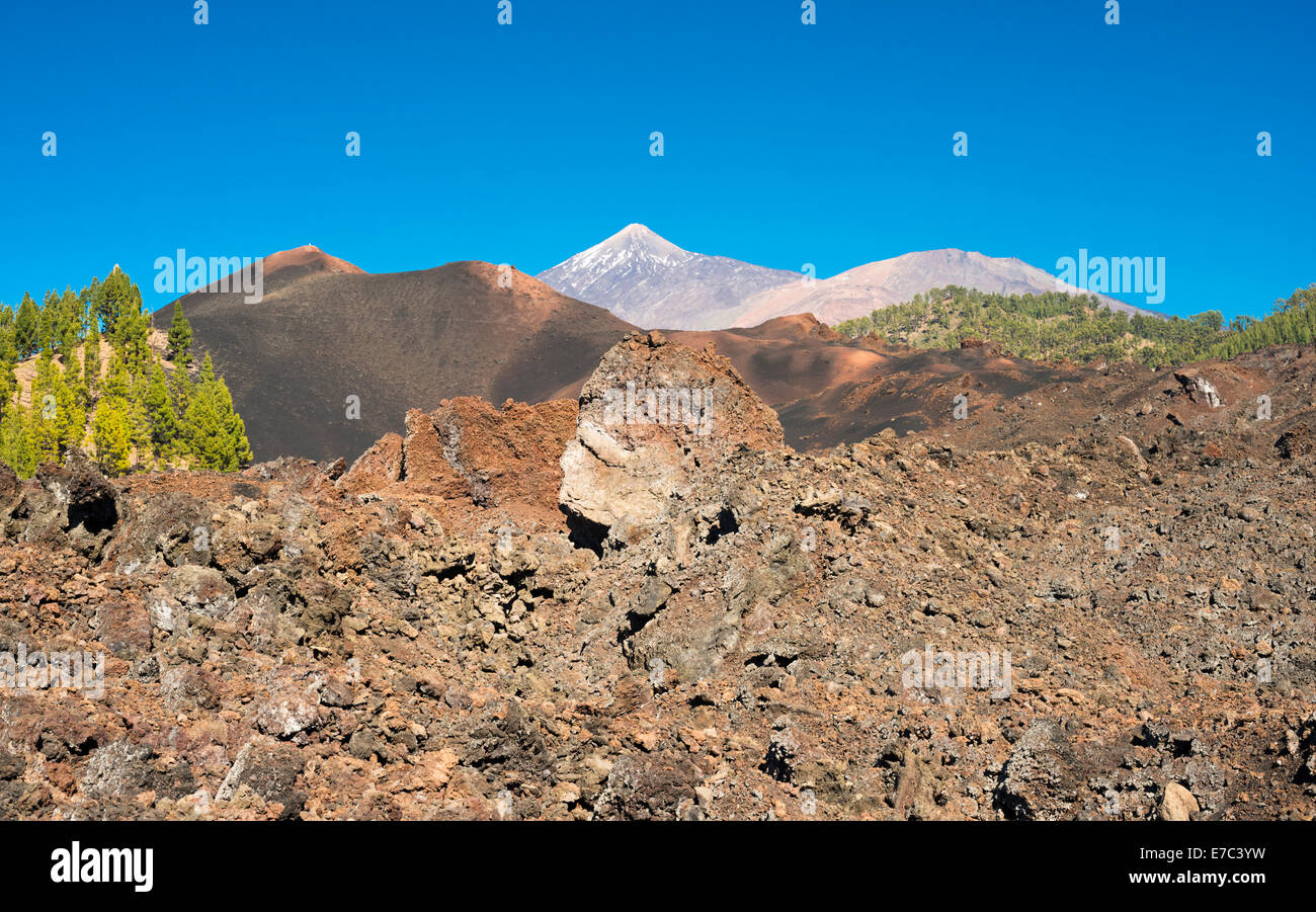 Tenerife Chinyero Volcano High Resolution Stock Photography and Images ...