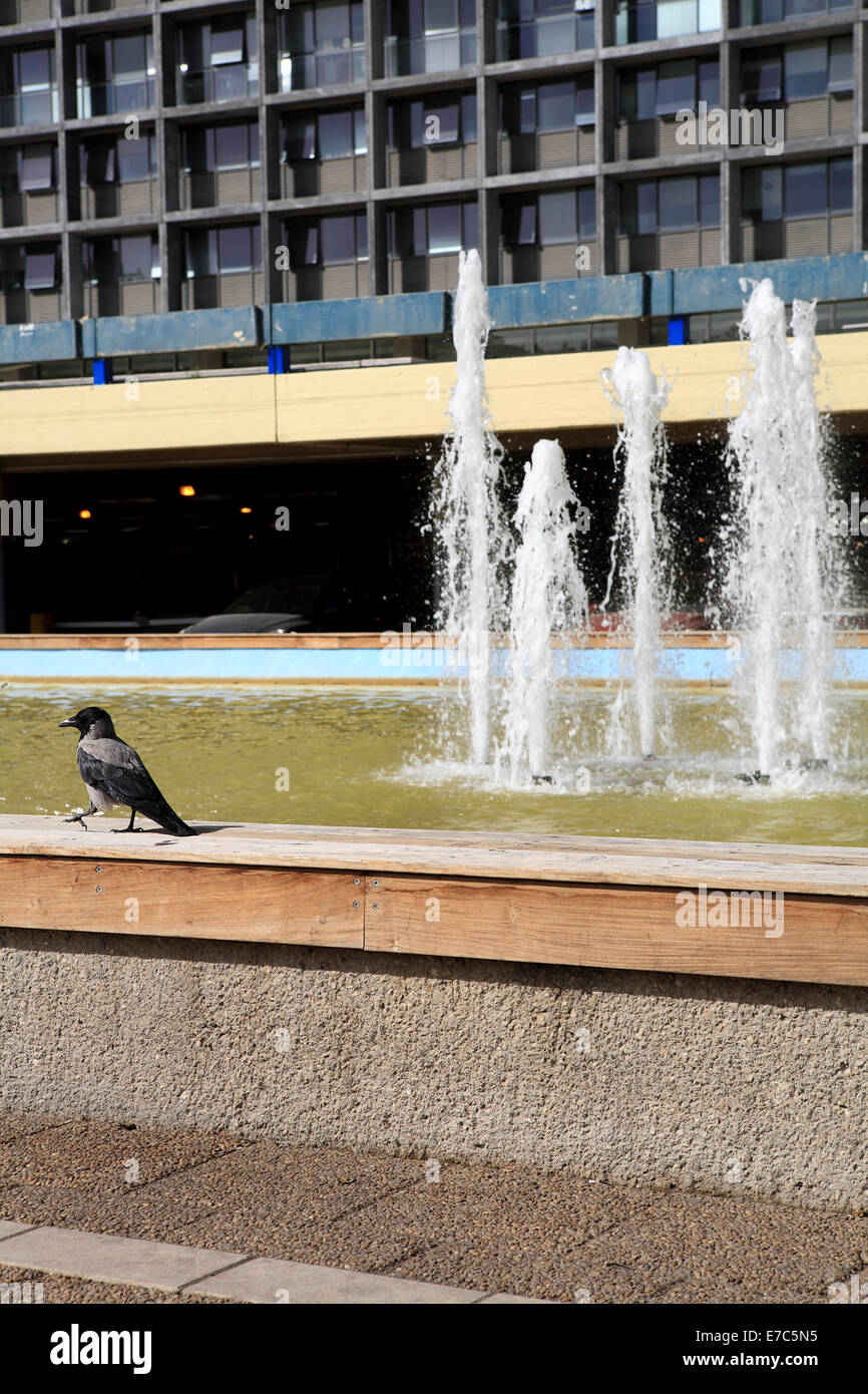 Rabin square tel aviv hi-res stock photography and images - Alamy
