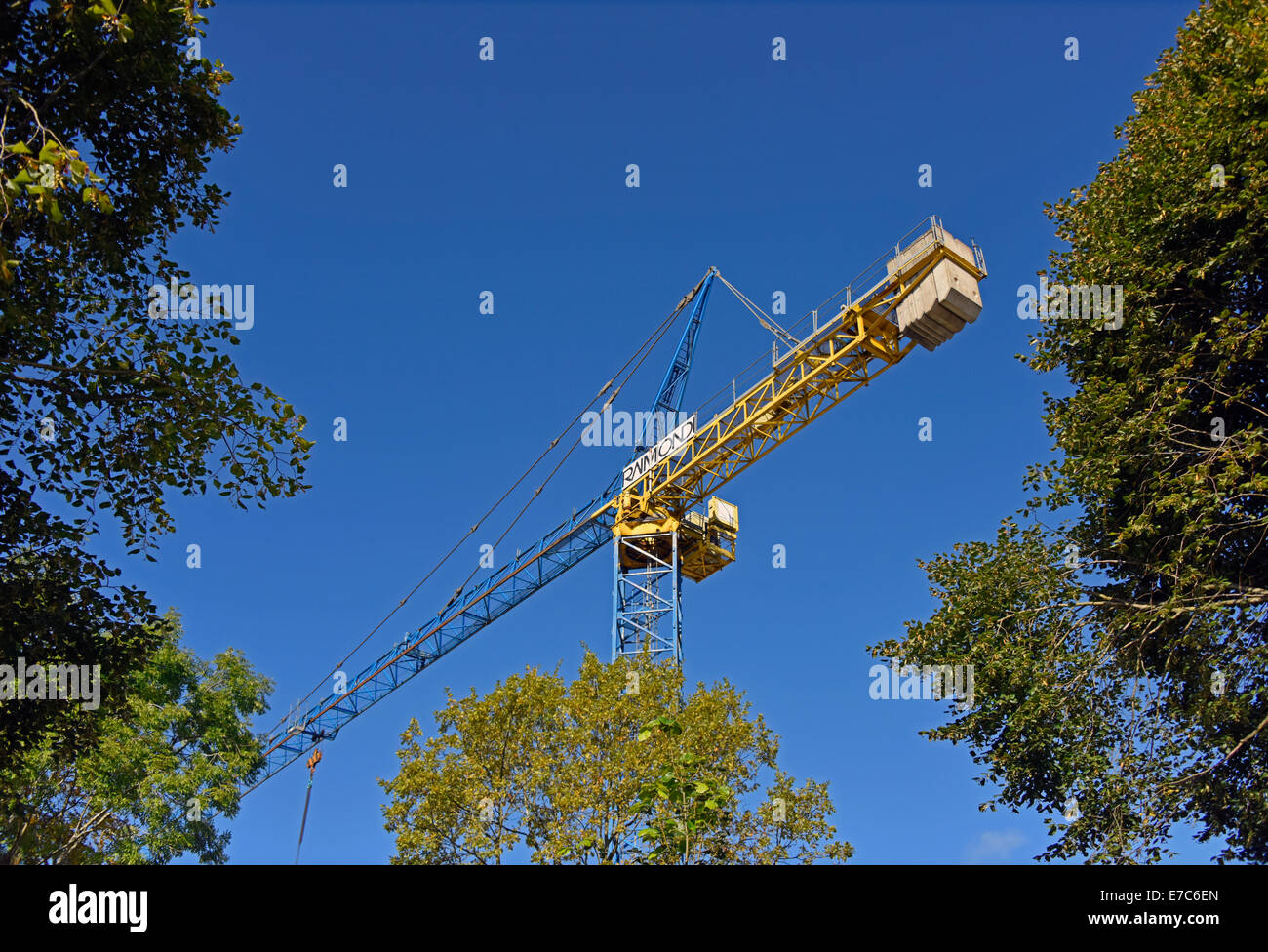 Raimondi tower crane on building site with trees Stock Photo - Alamy