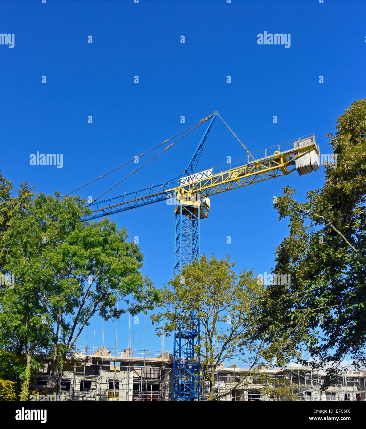 Raimondi tower crane on building site with trees Stock Photo - Alamy