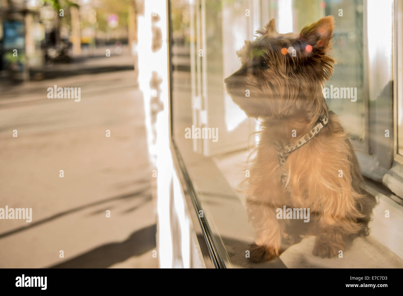behind the window Stock Photo - Alamy
