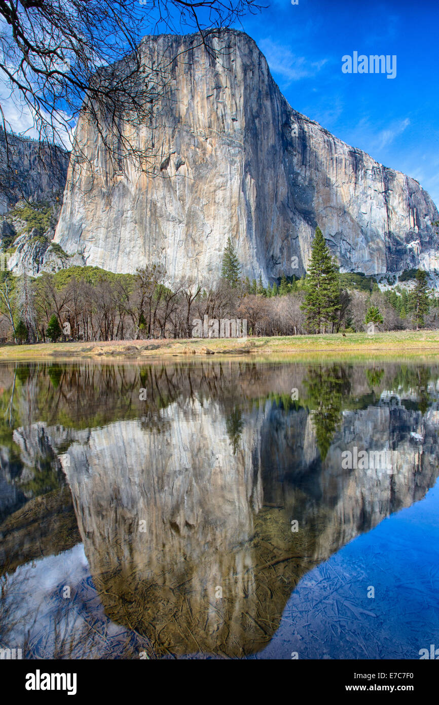 El Capitan is reflected in the still waters of the Merced River ...