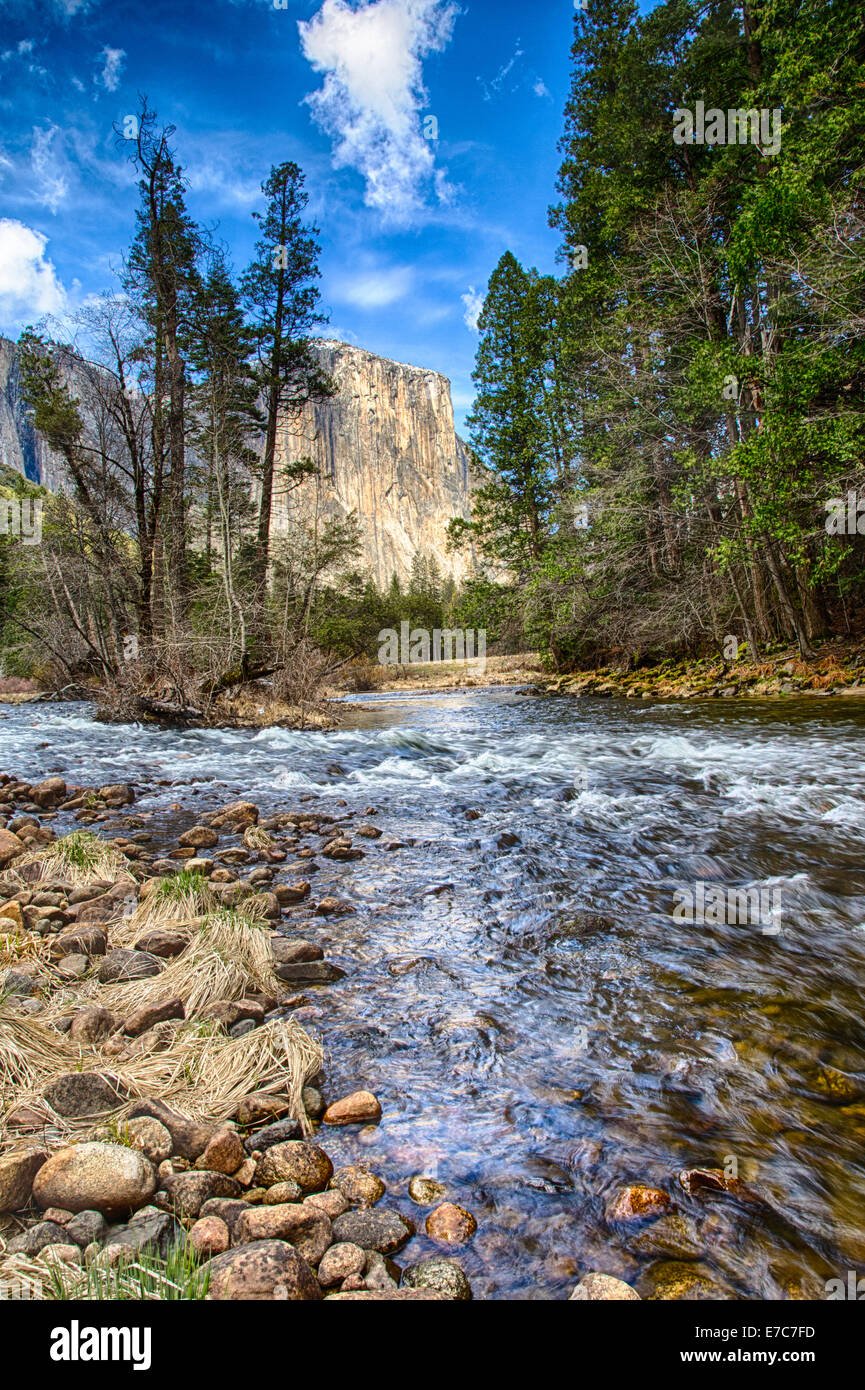 El Capitan towers above the valley floor. View from the Merced River ...