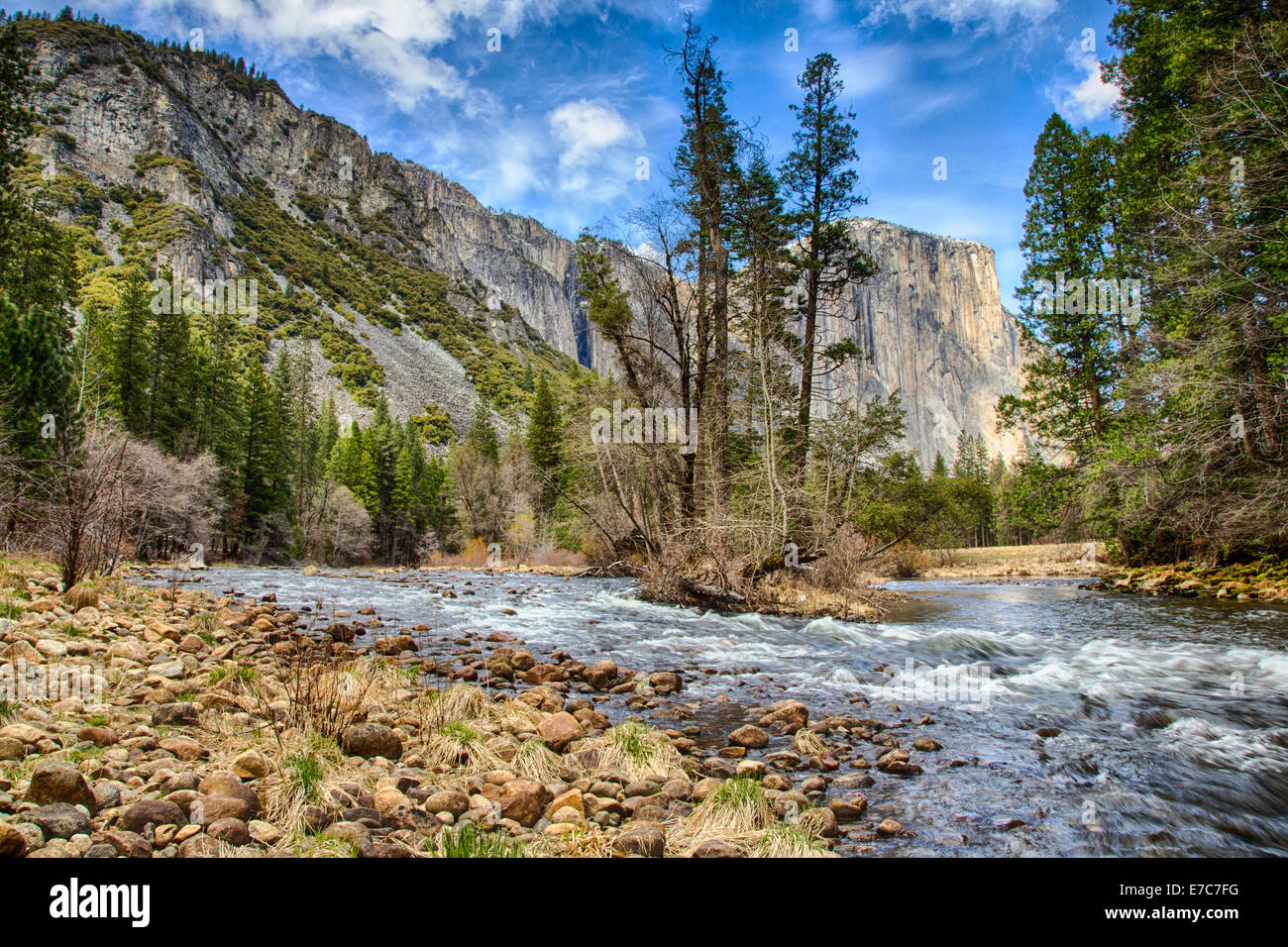 El Capitan towers above the valley floor. View from the Merced River ...