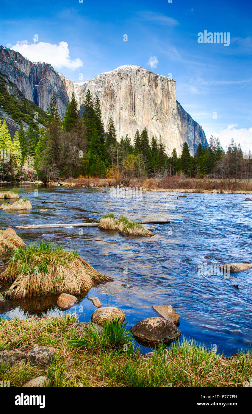 El Capitan towers above the valley floor. View from the Merced River ...