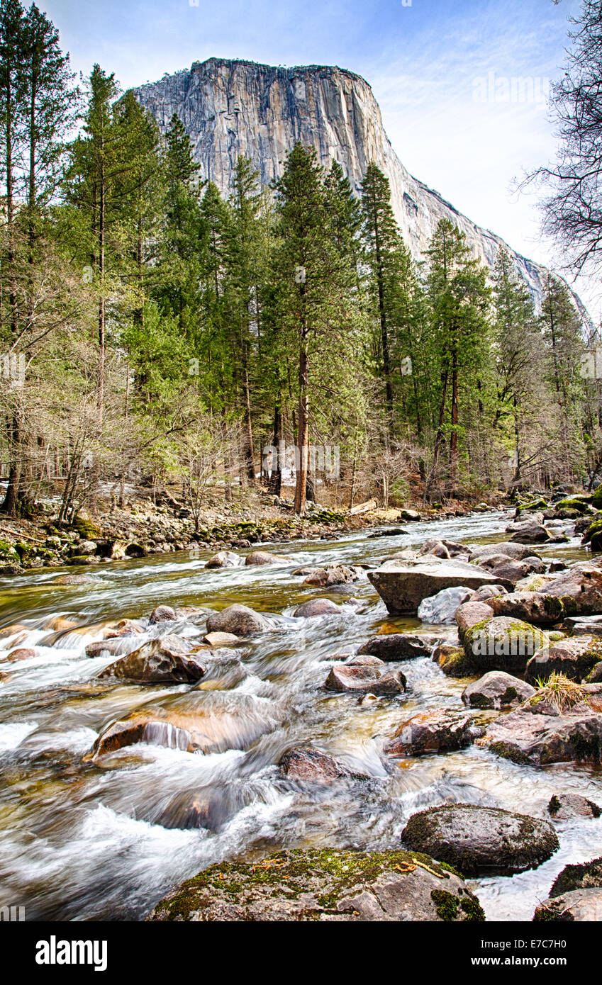 El Capitan towers above the valley floor. View from the Merced River ...