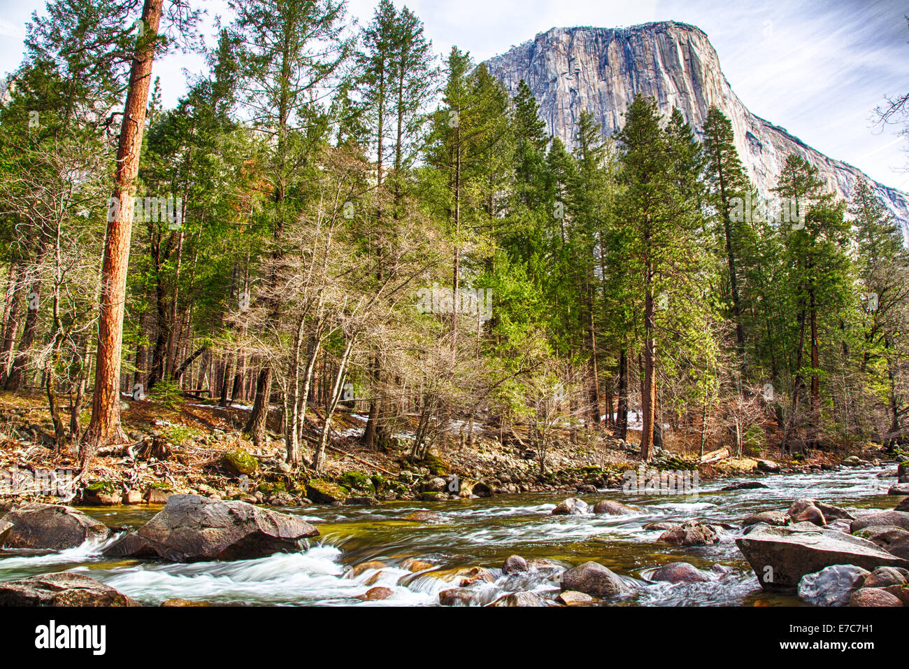 El Capitan towers above the valley floor. View from the Merced River ...