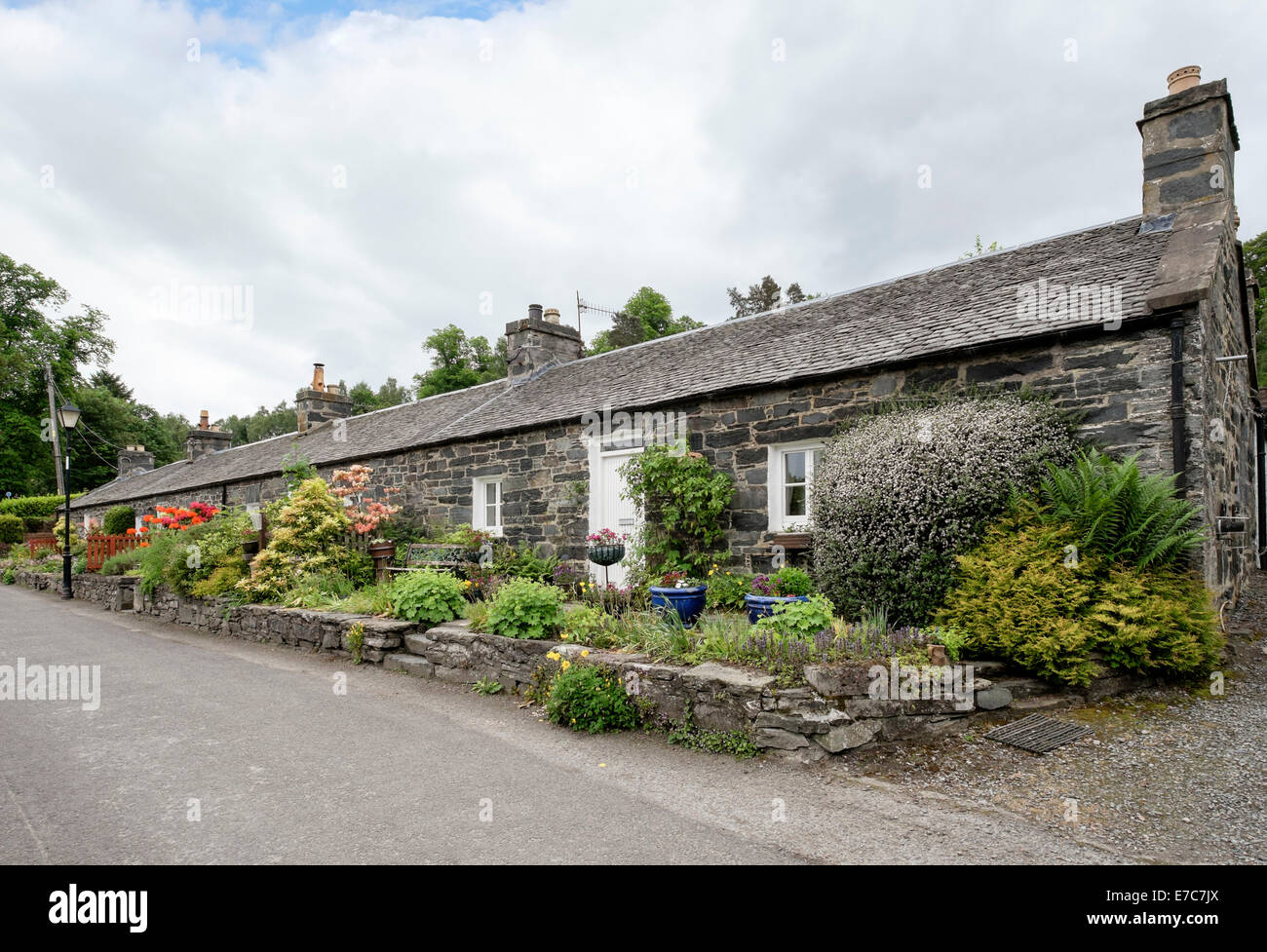 Traditional old terraced cottages with cottage gardens in historic ...