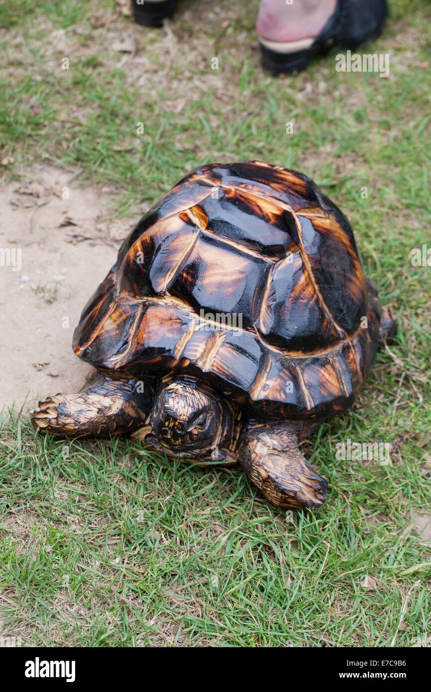 Tortoise cut and carved from a block of wood using a chainsaw. On ...