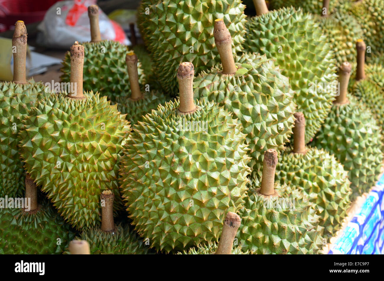 Durian as the "king of fruits Stock Photo - Alamy