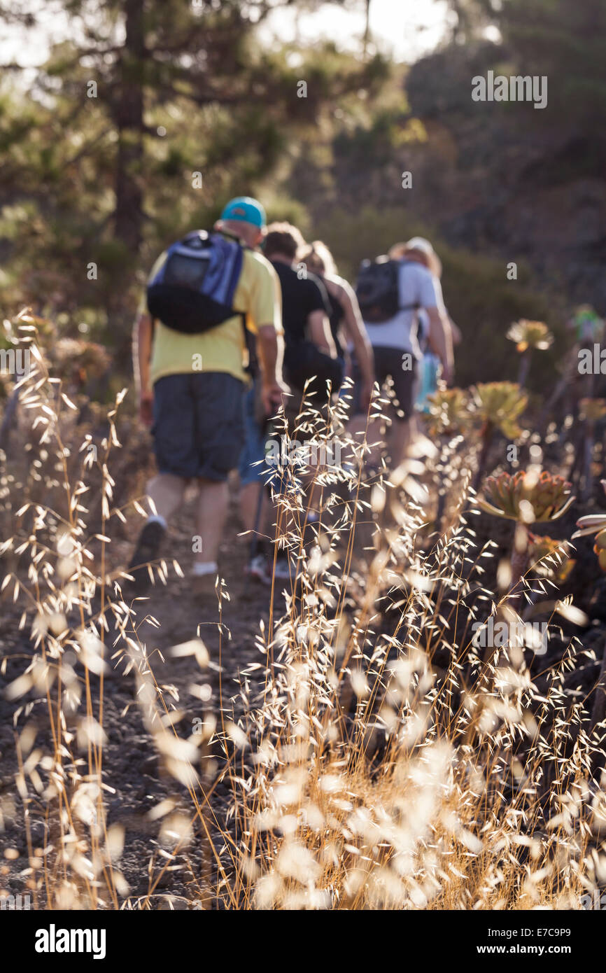 Walkers setting off on a hot dusty morning on a trail near Arguayo ...