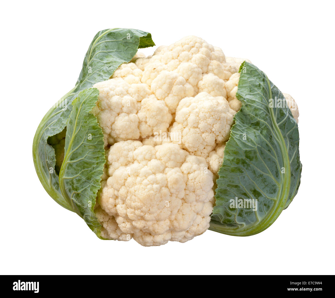 Cauliflower isolated on a white background. Full focus front to back ...