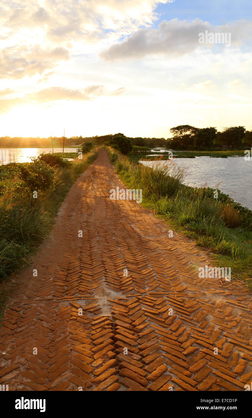 Brick road in rural area of Bangladesh Stock Photo - Alamy
