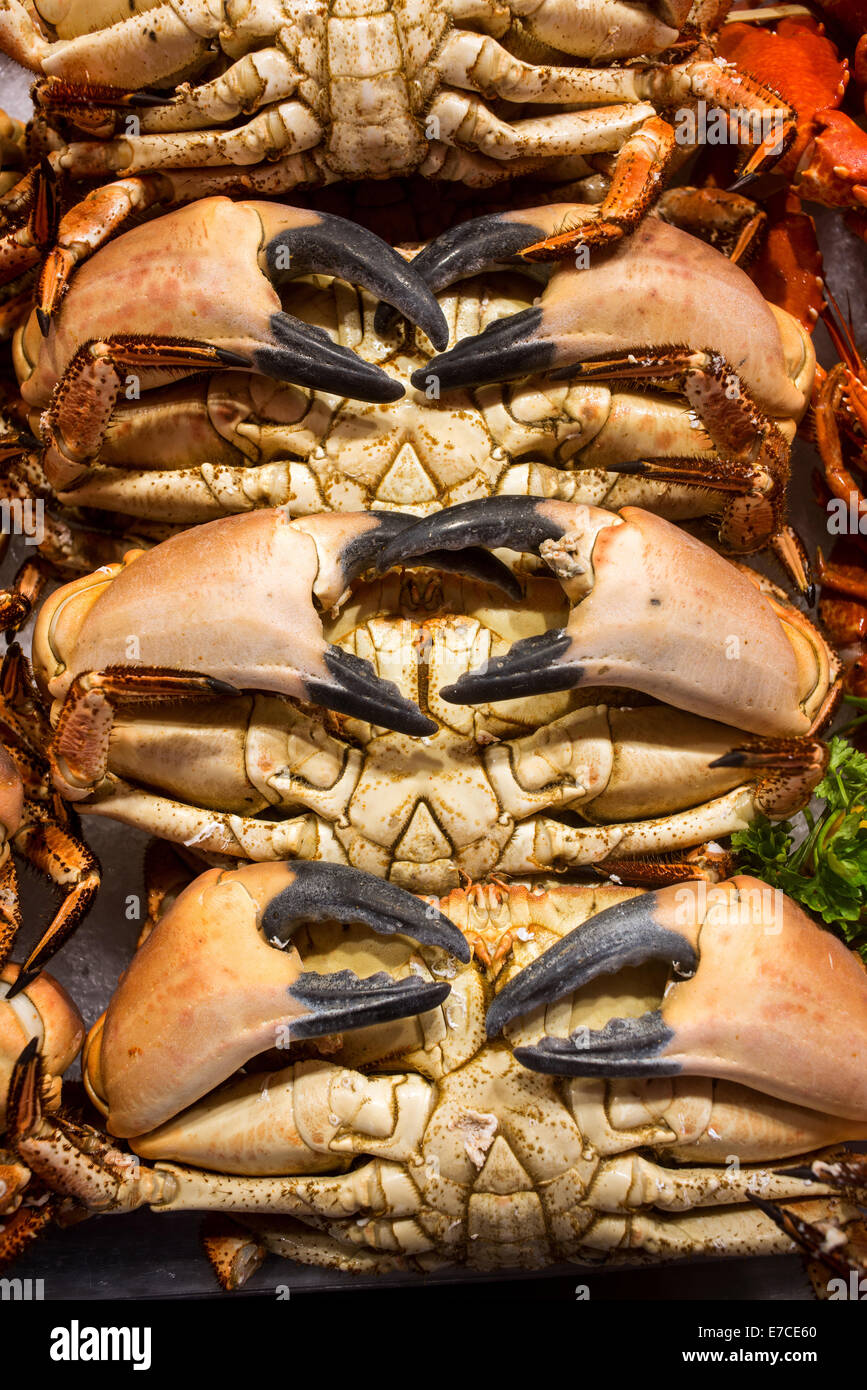 Seafood for sale in Trouville fish market in Normandy France Stock ...