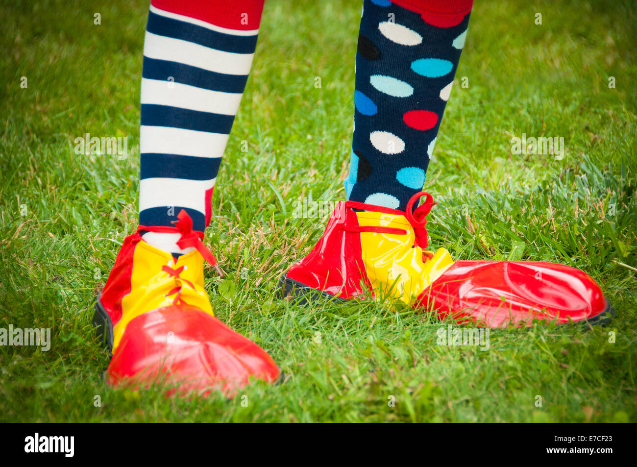 Giant clown shoes hi-res stock photography and images - Alamy