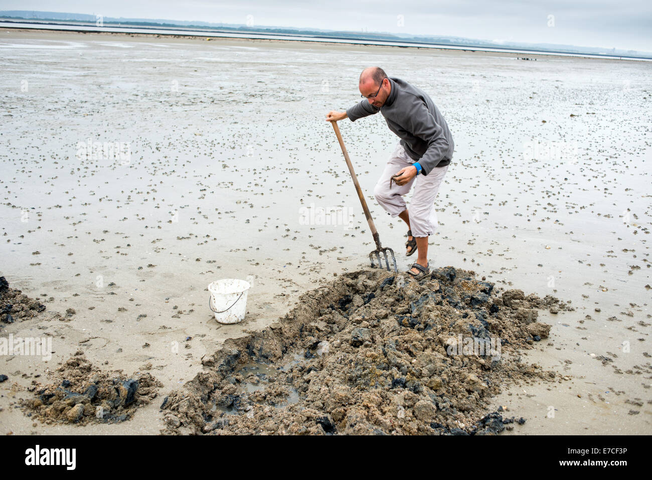 A Fisherman Digging A Live Earthworms For Use As Fishing Bait Stock ...