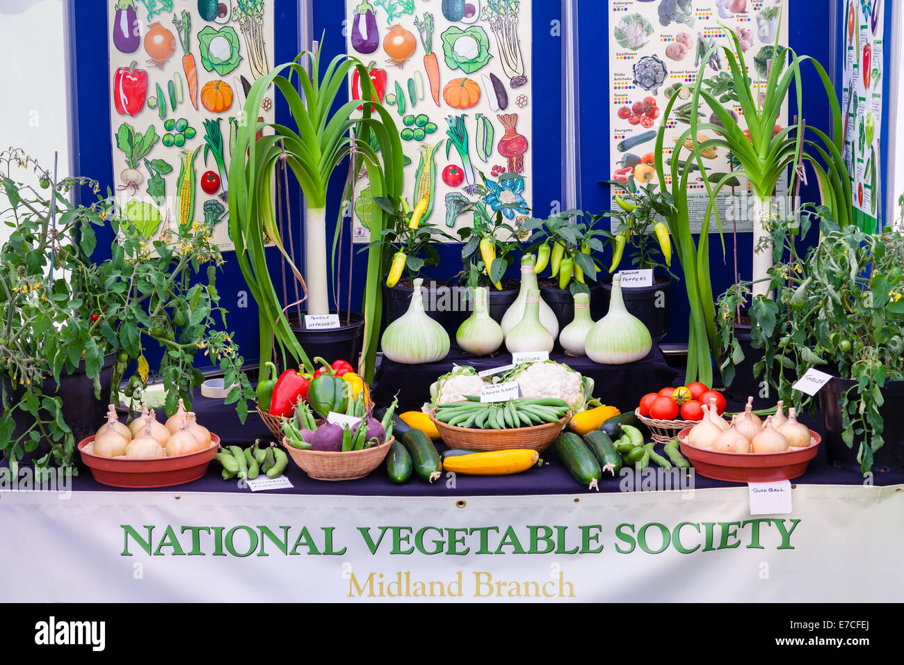 National vegetable society show hi-res stock photography and images - Alamy