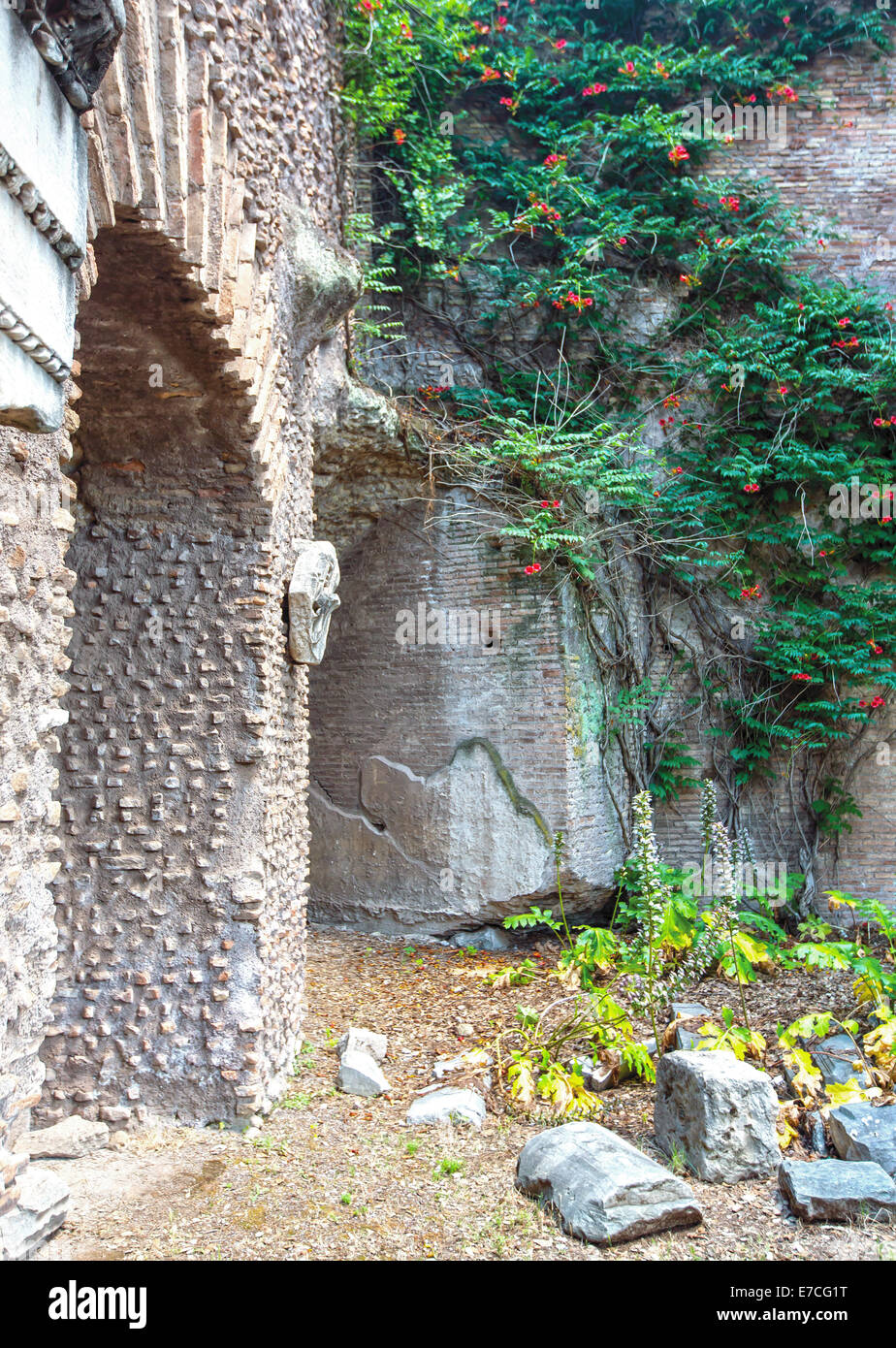 Exterior of Roman ruins with vegetation and plants overgrowing the area ...