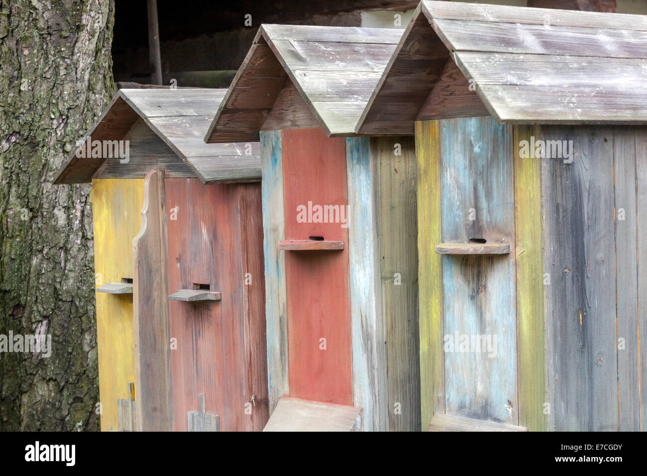 Old hives apiaries, colored beehives, rural wooden beehive, painted ...