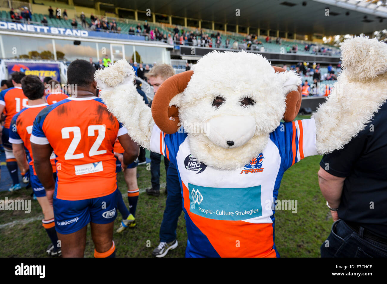 Sydney, Australia. 13th September, 2014. Greater Sydney Rams Mascot ...
