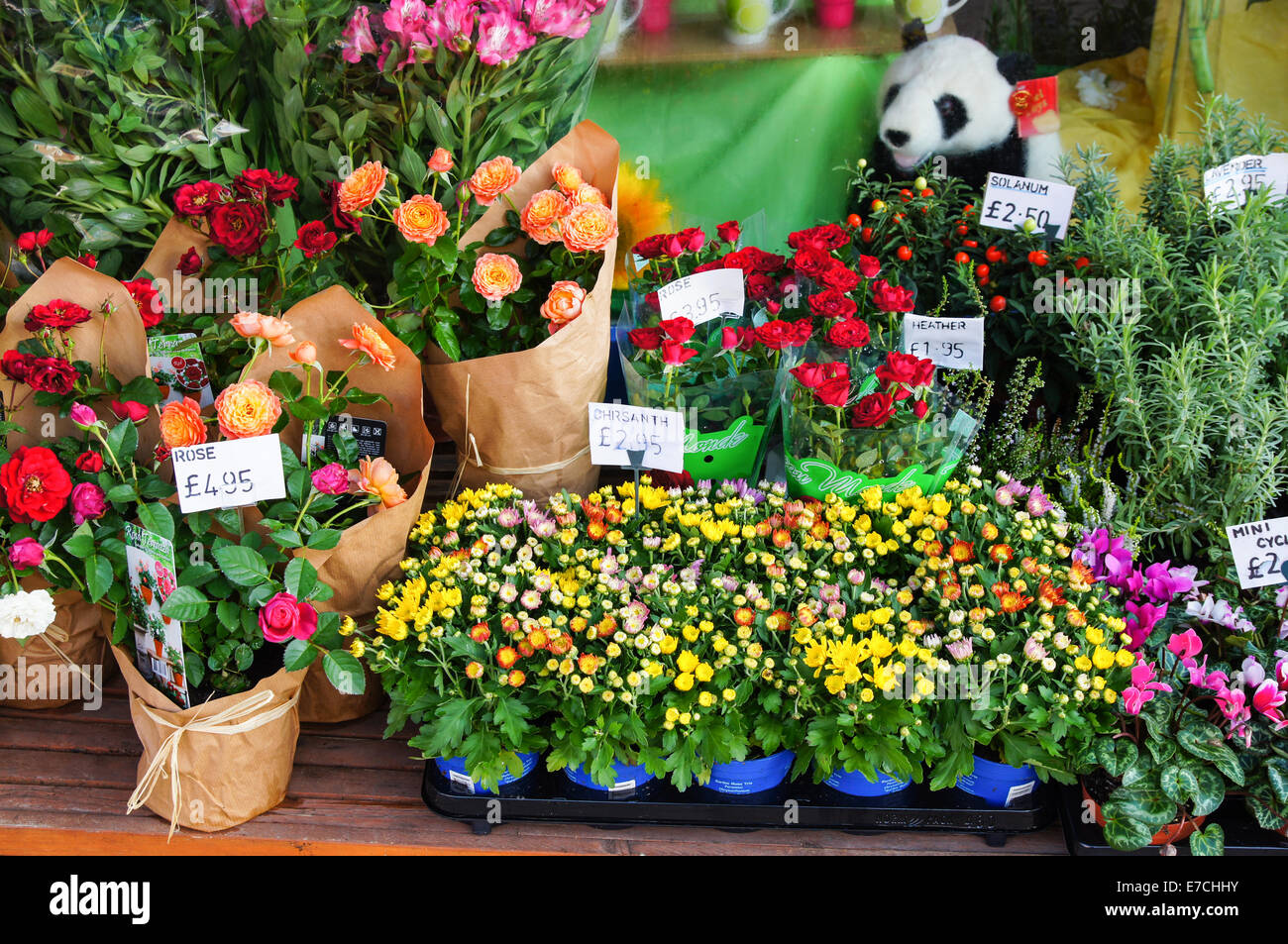 Florist's flowers stall display hi-res stock photography and images - Alamy