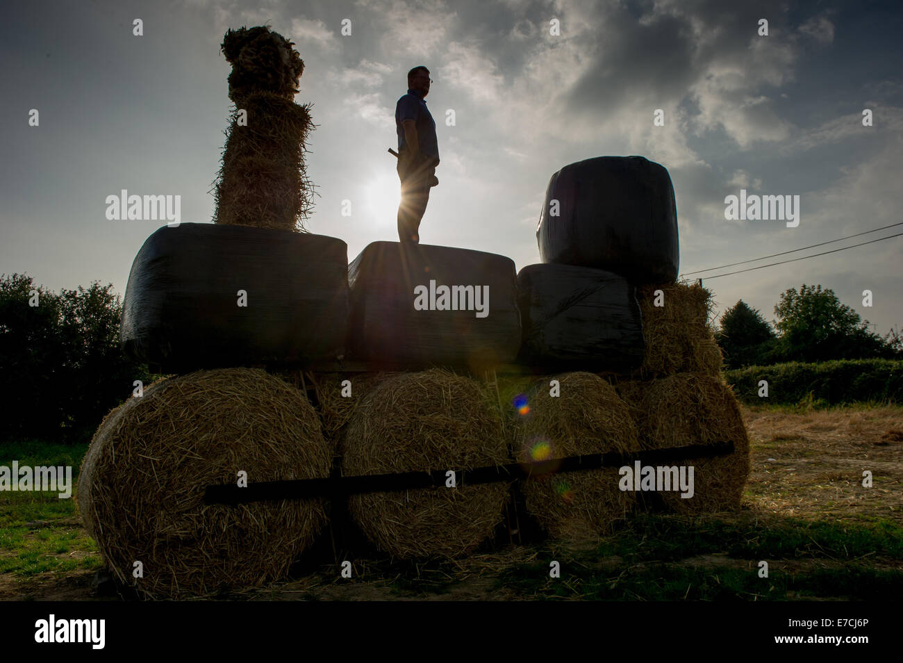 Barry Bales High Resolution Stock Photography and Images - Alamy