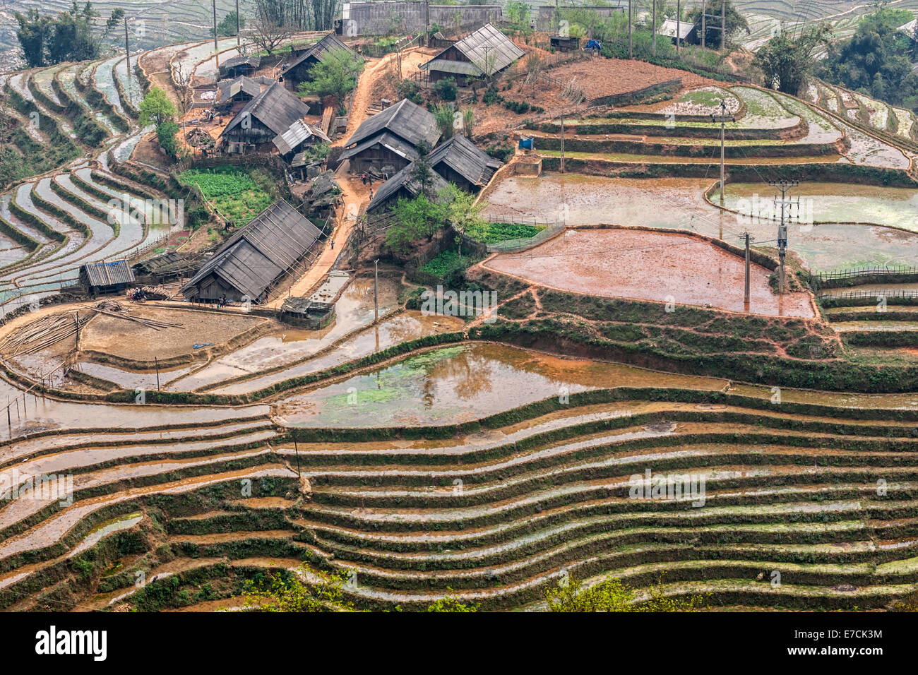 Hmong farms surrounded by submerged rice paddies in late winter Stock ...