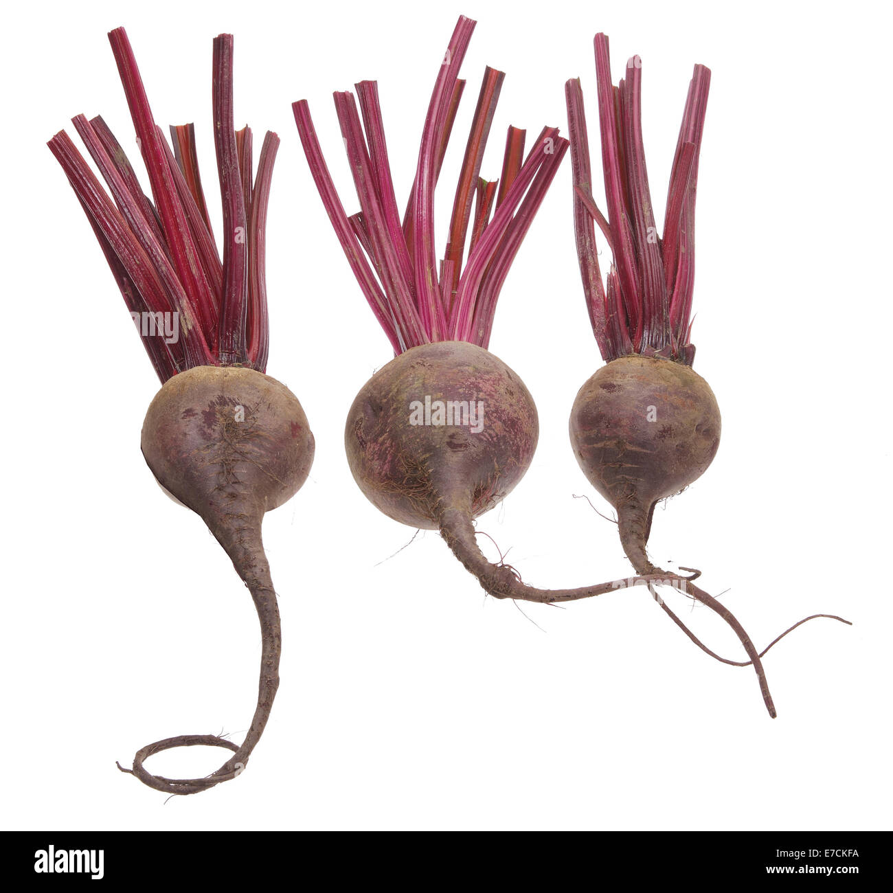 Beetroot still life Cut Out Stock Images & Pictures - Alamy