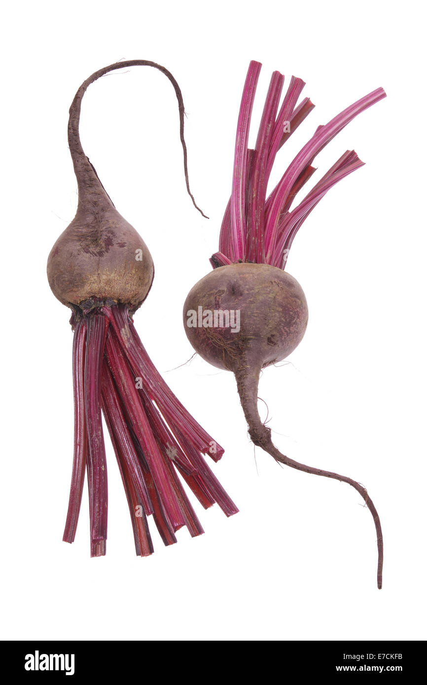 Beetroot still life Cut Out Stock Images & Pictures - Alamy
