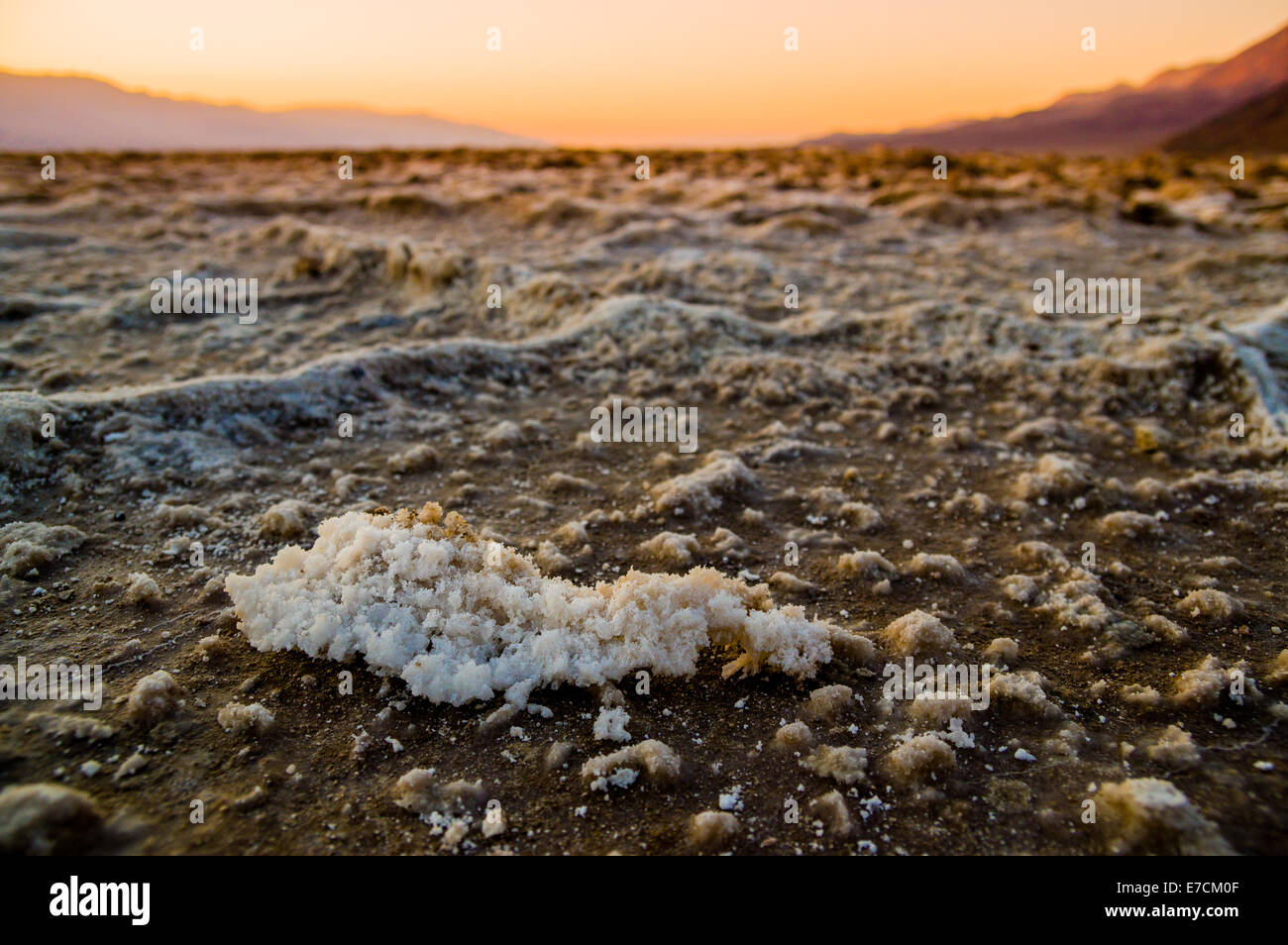 Dried out salt in Badwater Death Valley National Park Stock Photo - Alamy