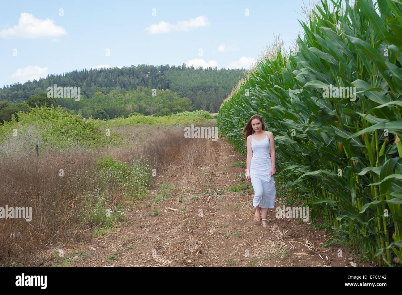 A young woman in a corn field Kibbutz Ha'solelim, Israel Stock Photo ...