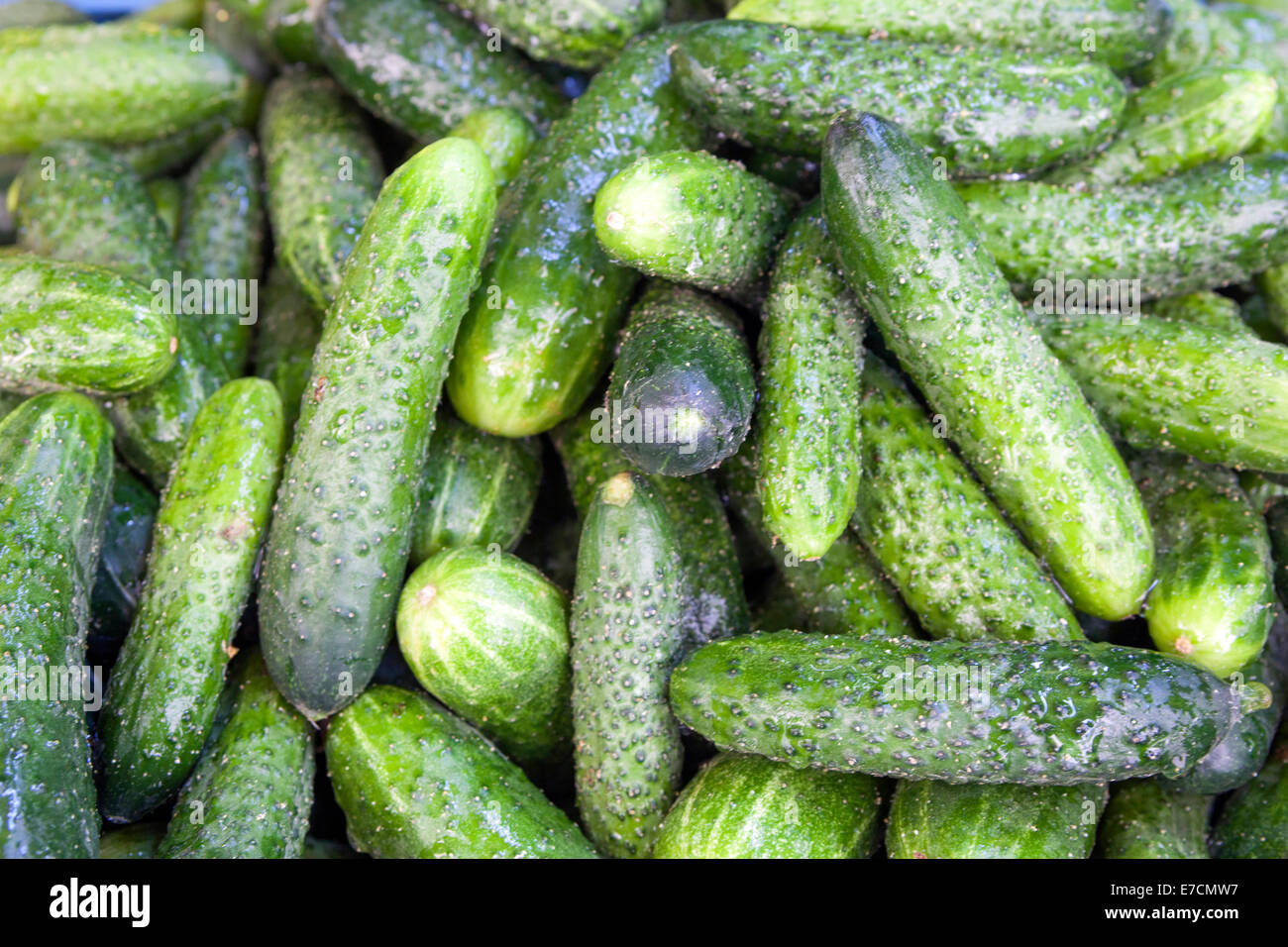 Gherkin farmers market hi-res stock photography and images - Alamy