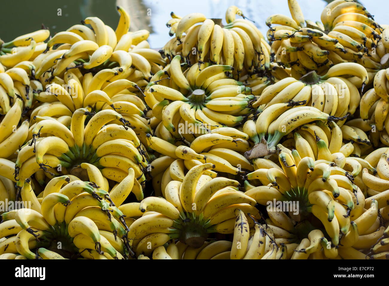 Sell bananas hi-res stock photography and images - Alamy