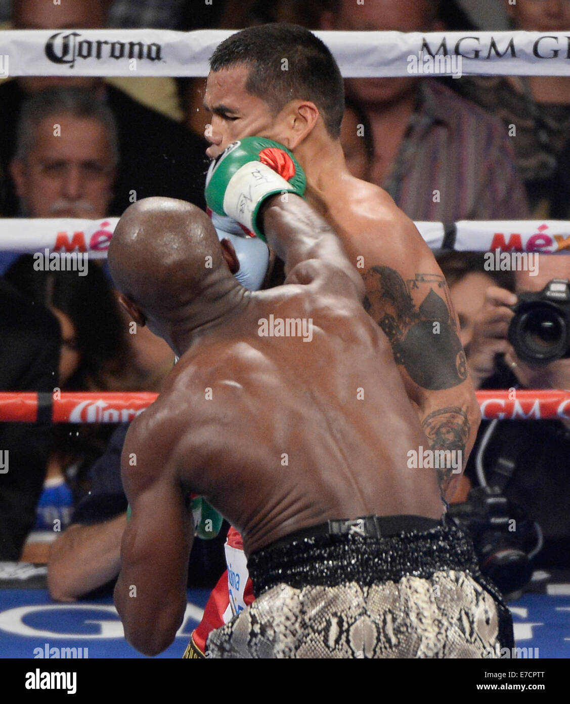 Las Vegas, Nevada, USA. 13th Sep, 2014. (In snake tks) Floyd Mayweather ...