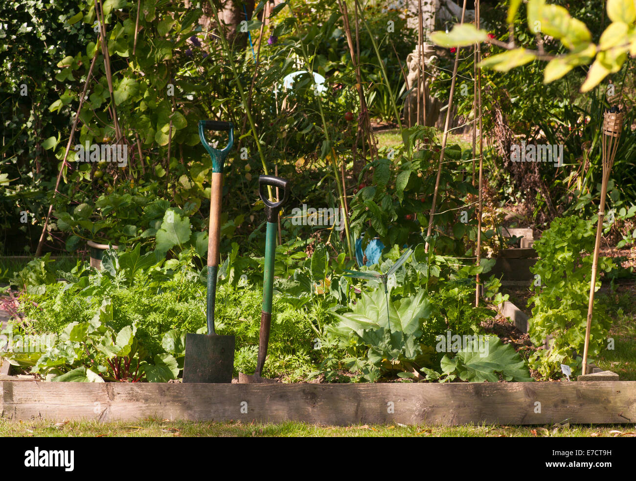 The fruit yard hi-res stock photography and images - Alamy