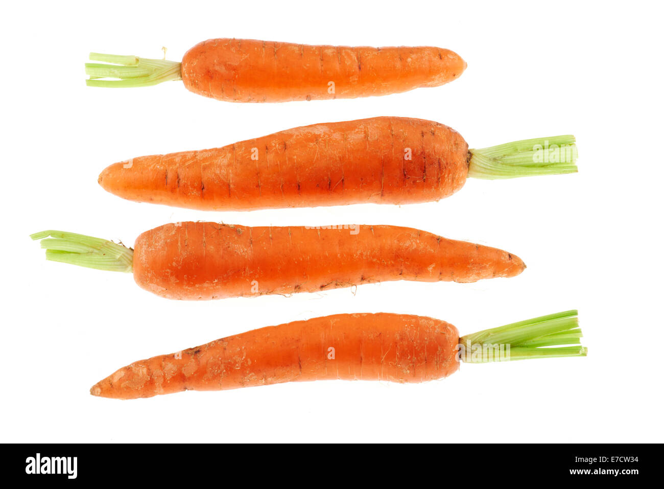 Four Fresh Organic Carrots On A White Background Stock Photo - Alamy
