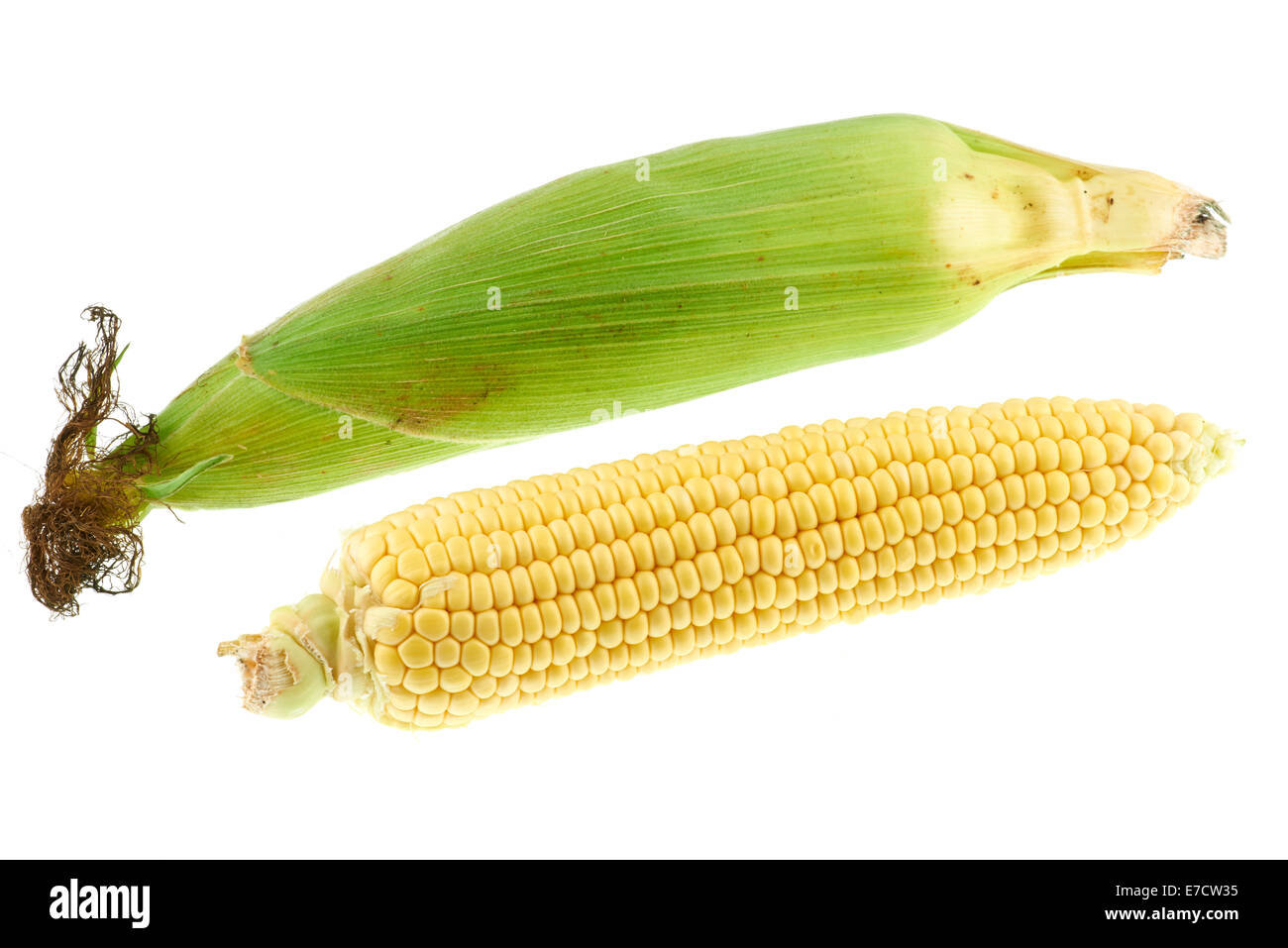 Close up fresh sweetcorn Cut Out Stock Images & Pictures - Alamy