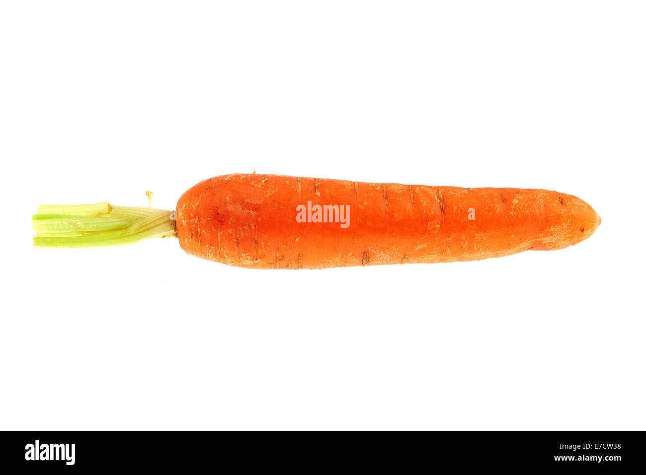 Single Carrot Vegetable