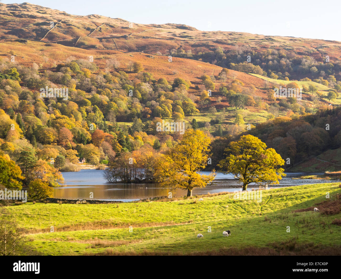 Wordsworth landscape lake district hi-res stock photography and images ...