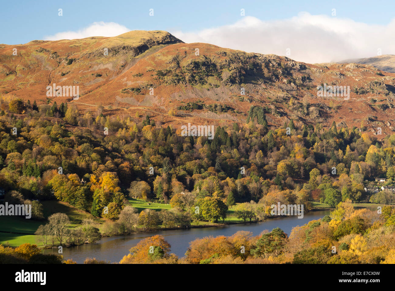 Grasmere lake and the fell behind in autumn Stock Photo - Alamy