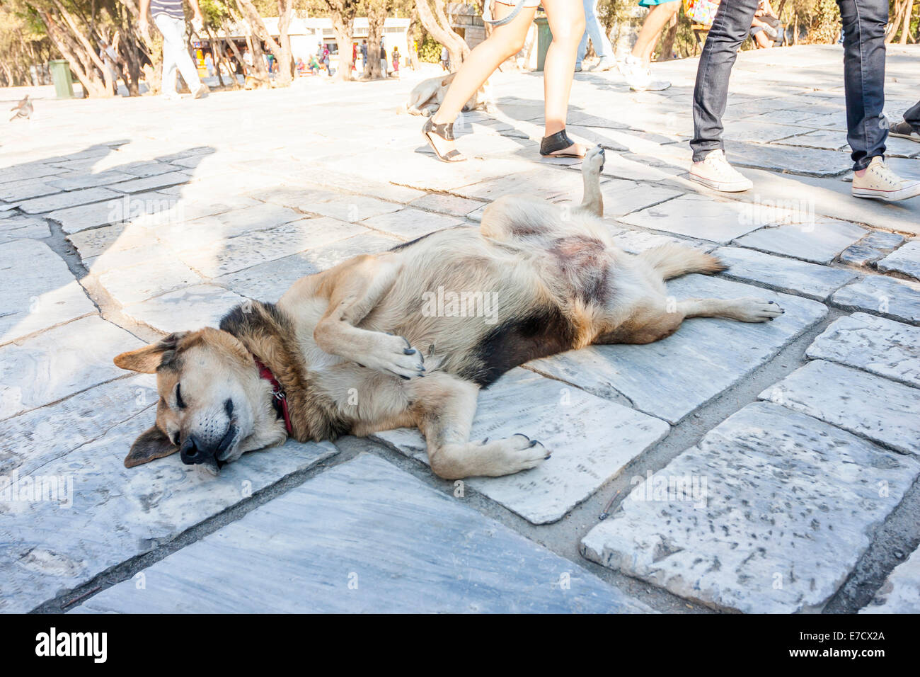 Athens back street hi-res stock photography and images - Alamy