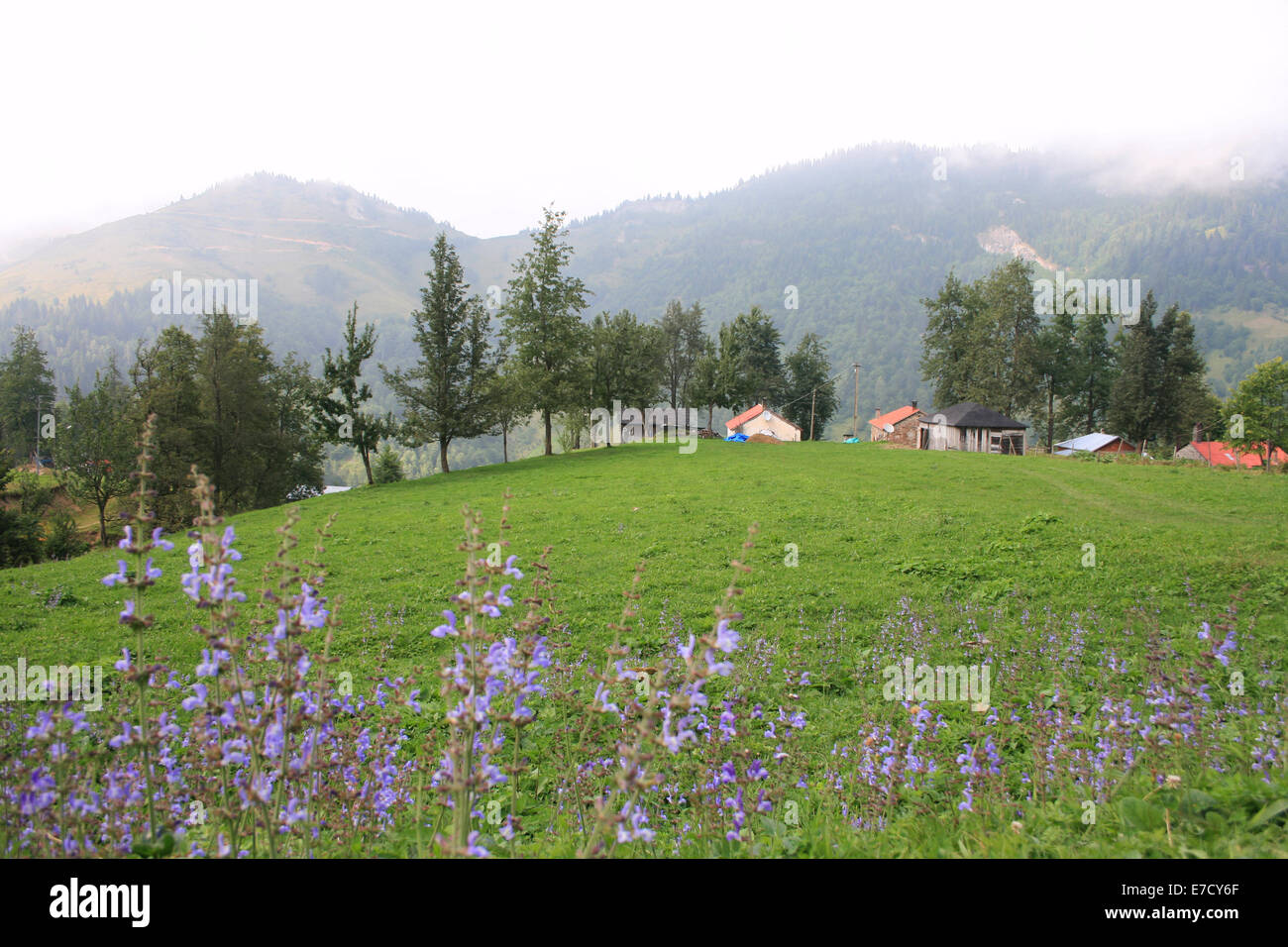 Highlands Of Turkey,Eastern Blacksea Region Stock Photo - Alamy