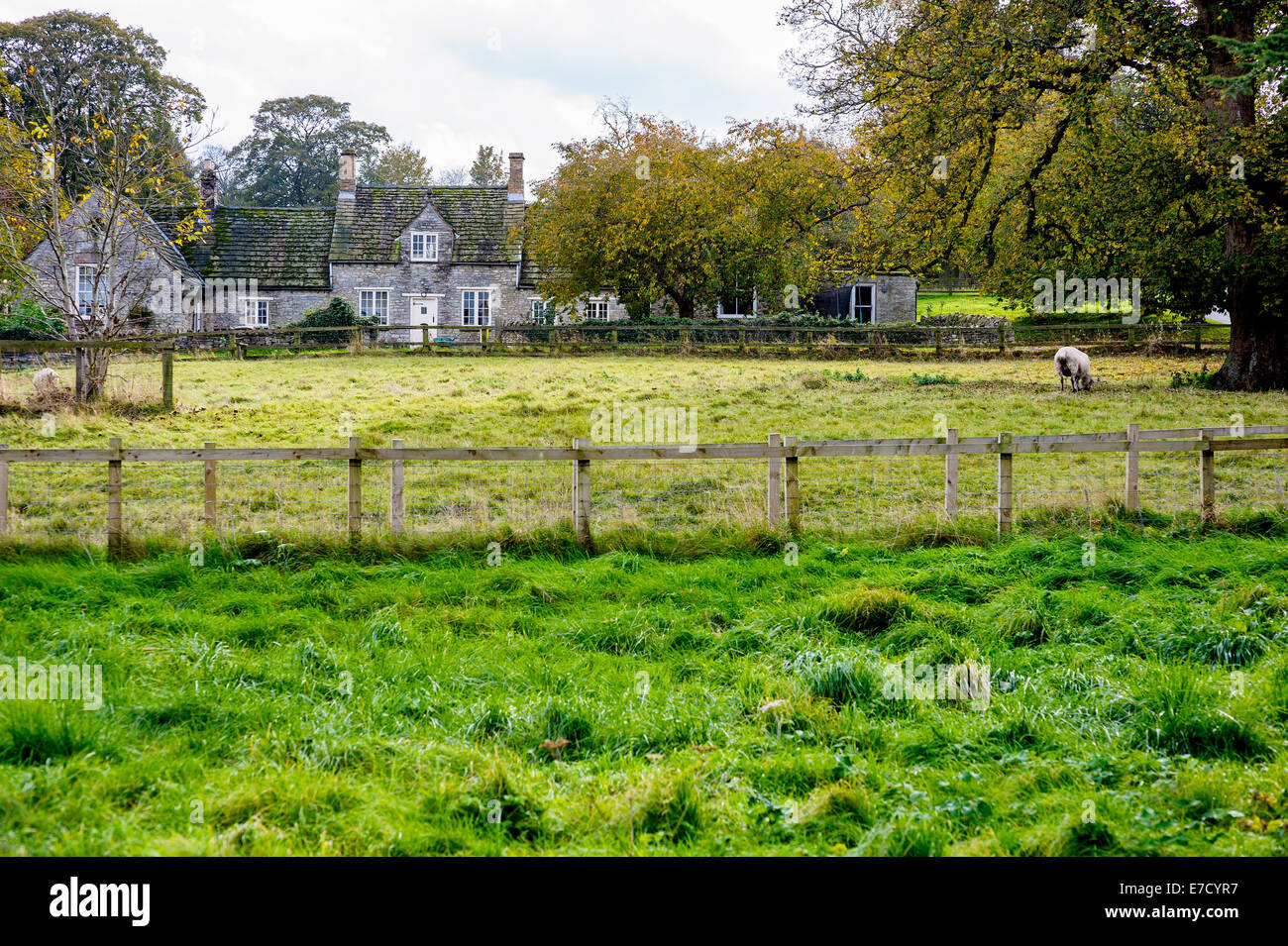 Looking across a fenced pasture paddock to a charming rustic house in ...