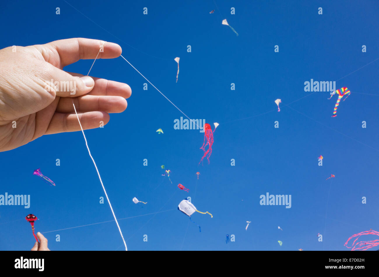 Hand holding a kite string at the Bondi Festival of the Winds 2014 ...